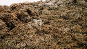 Deep Bedding Method for Livestock (Cleaner Barns & Healthier Animals ...