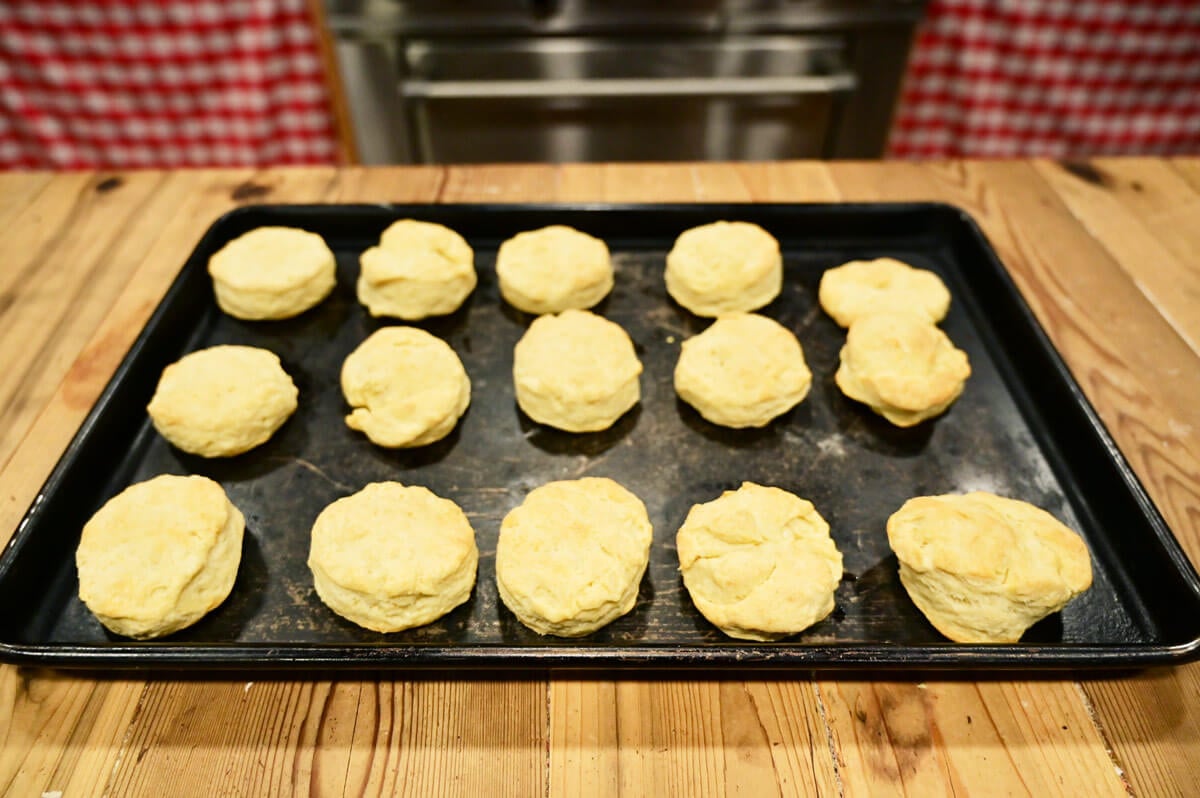 Country Whole Wheat Biscuits Recipe — Homesteading Family