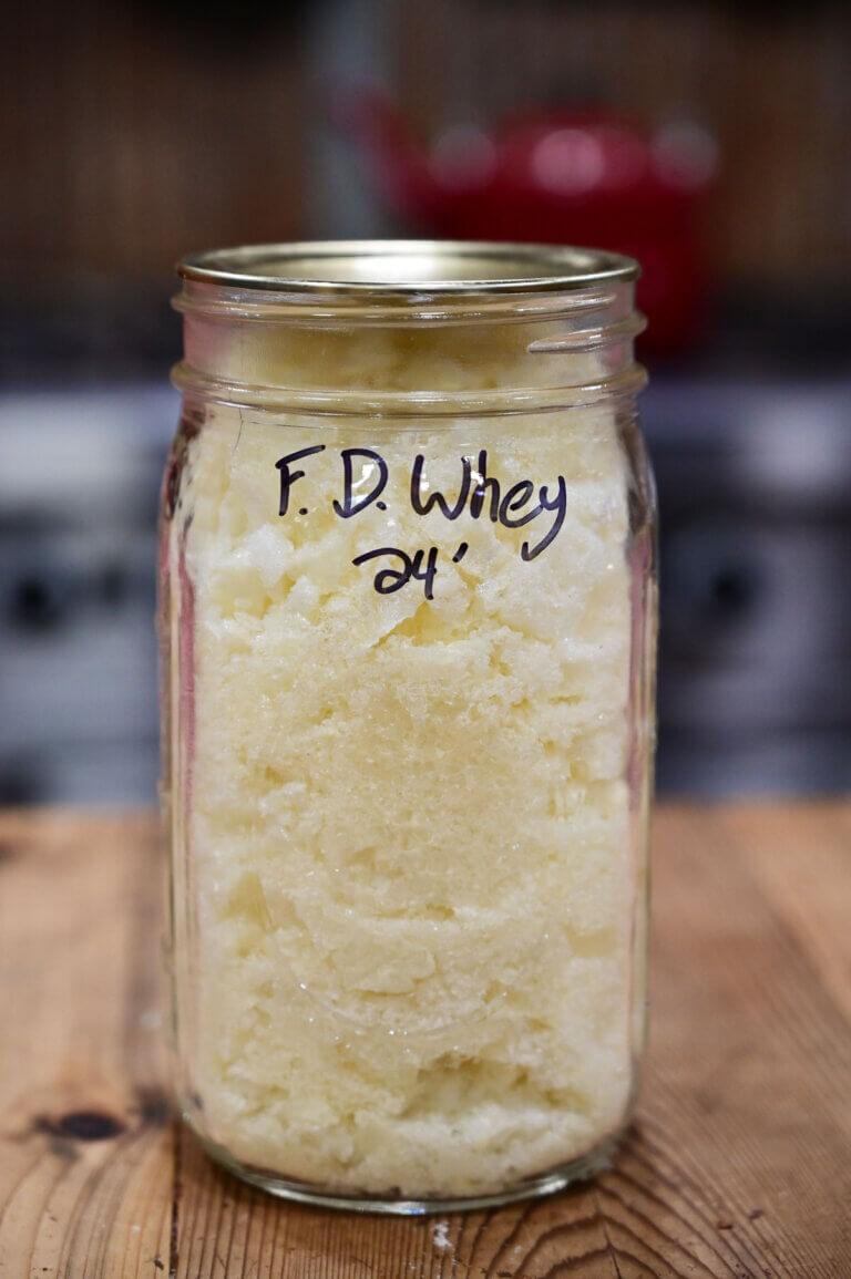 Starter Culture for Fermentation (+ Freeze Drying Tips) — Homesteading ...