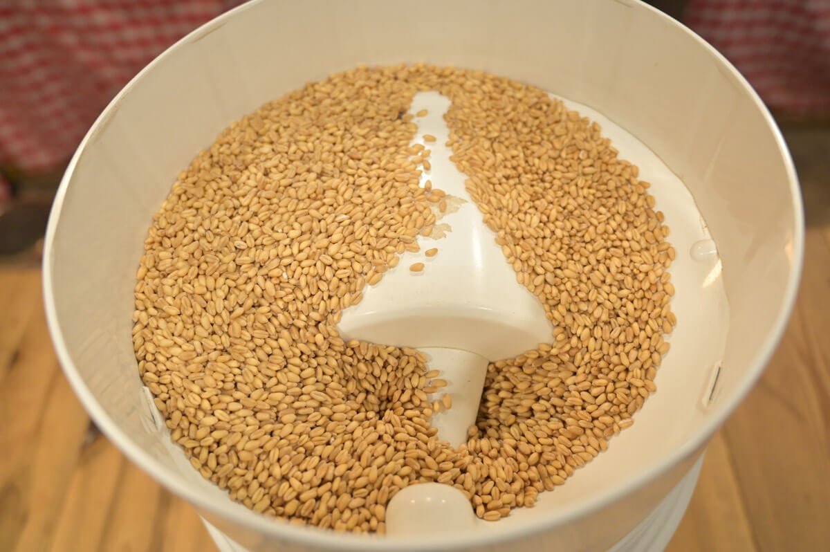 Choosing the Best Grain Mill for Your Homestead — Homesteading Family