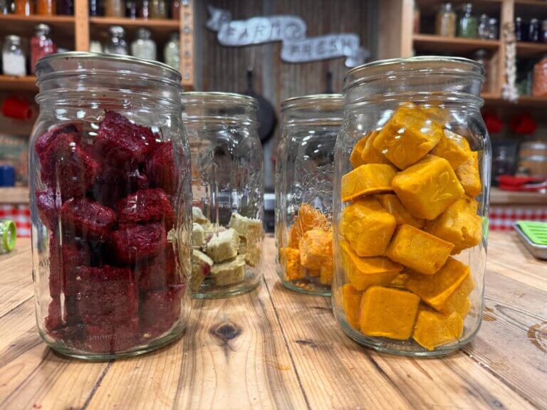 Healthy Freeze Dried Baby Food — Homesteading Family