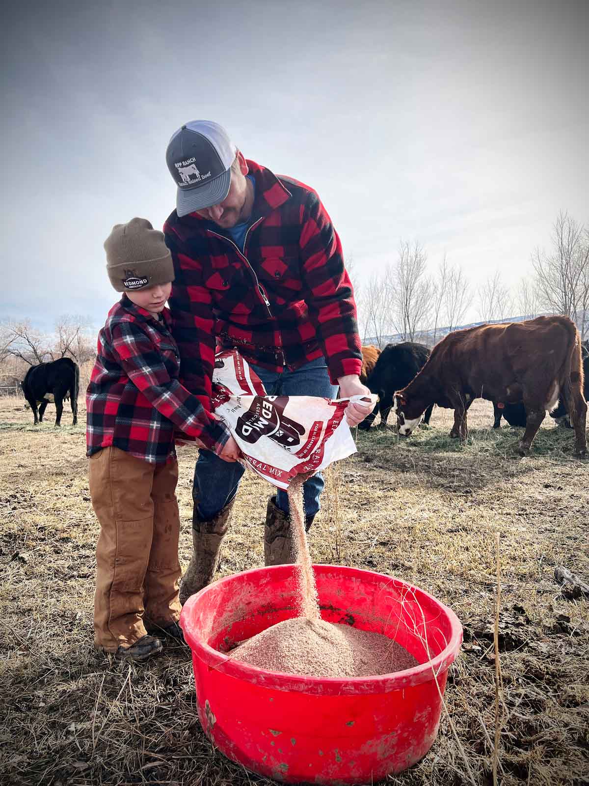 Mineral Supplements for Livestock — Homesteading Family