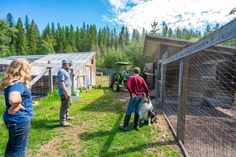 Our Barn Management System — Homesteading Family