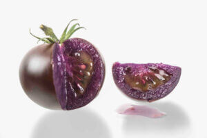 GMO Seeds: What the Home Gardener Needs to Know — Homesteading Family