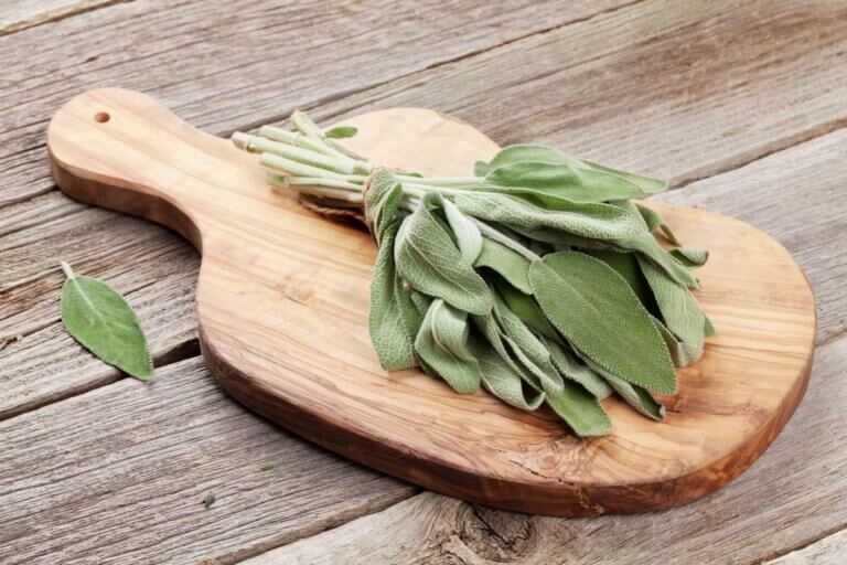 Growing Sage: Tips for a Thriving Herb Garden — Homesteading Family