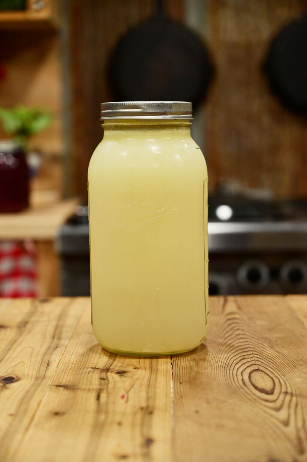 Starter Culture for Fermentation (+ Freeze Drying Tips) — Homesteading ...