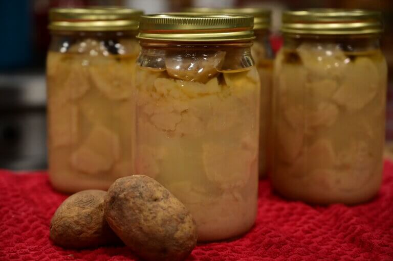 Preserve Your Harvest: Canning Potatoes Guide — Homesteading Family