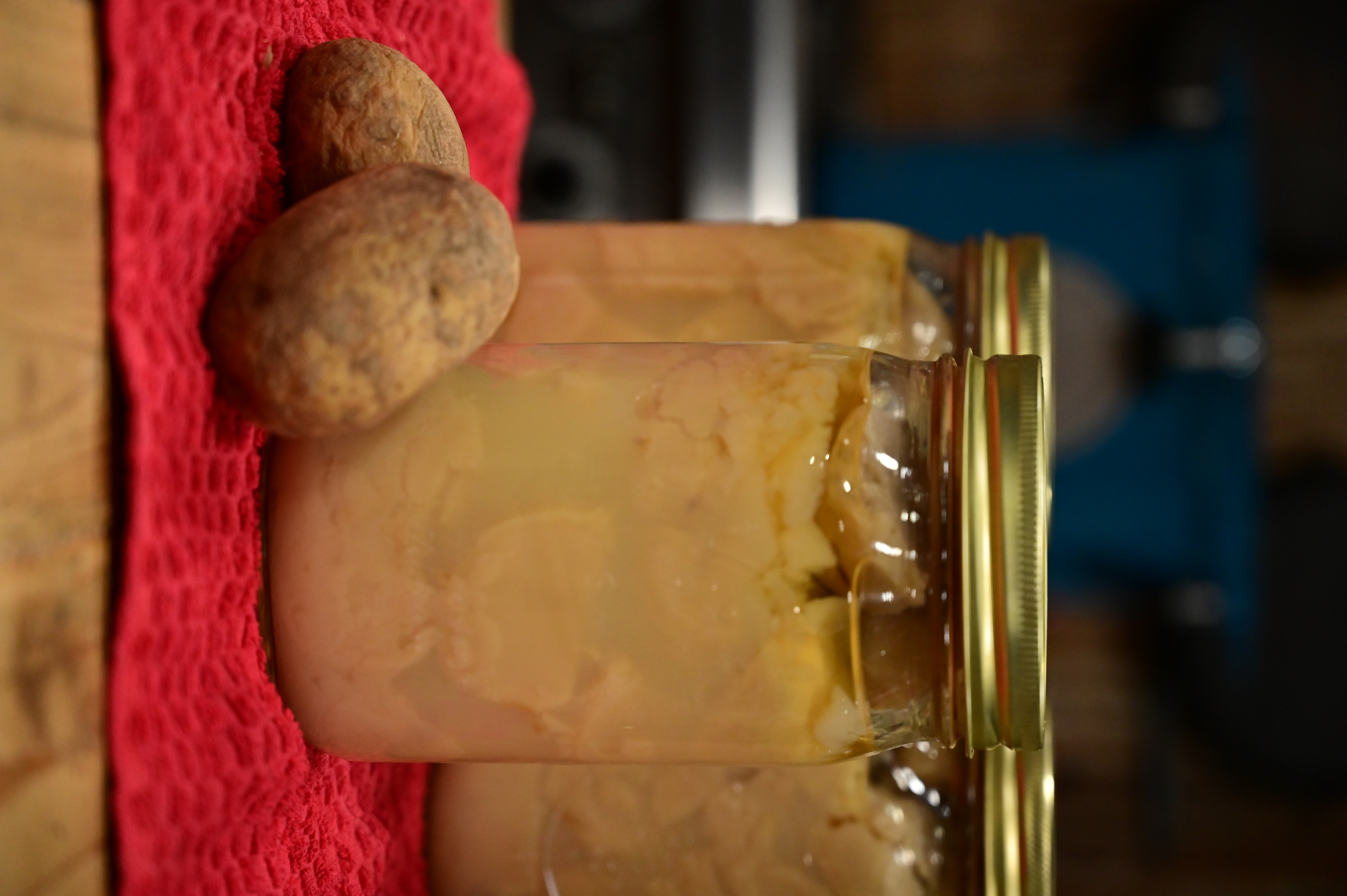 Preserve Your Harvest: Canning Potatoes Guide — Homesteading Family