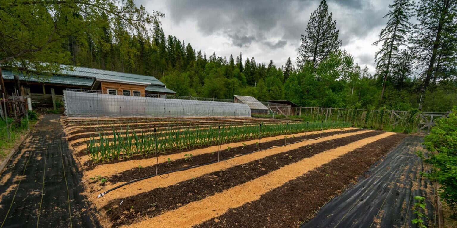 Ultimate Garden Planning Guide (+FAQs) | Homesteading Family