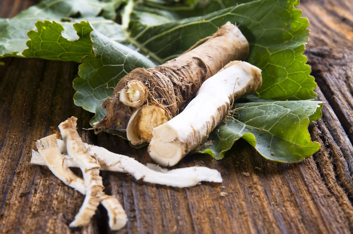 Horseradish Plant Guide: Care, Growth & Tips — Homesteading Family