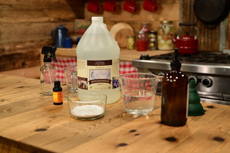Homemade Disinfectant Spray (Easy Non-Toxic Recipe) — Homesteading Family