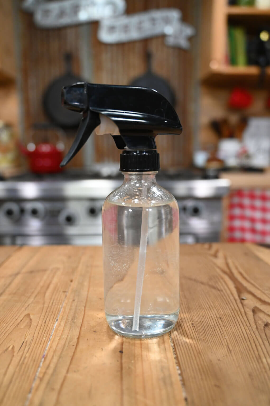Homemade All-Purpose Spray Cleaner (Non-Toxic Recipe) — Homesteading Family
