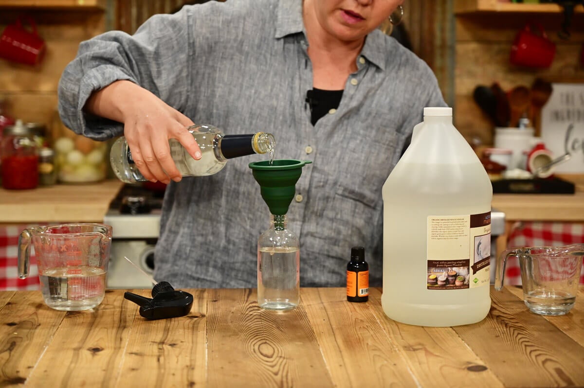 Homemade Disinfectant Spray (Easy Non-Toxic Recipe) — Homesteading Family