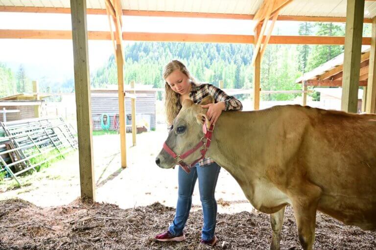 Adding Another Dairy Cow to the Homestead — Homesteading Family