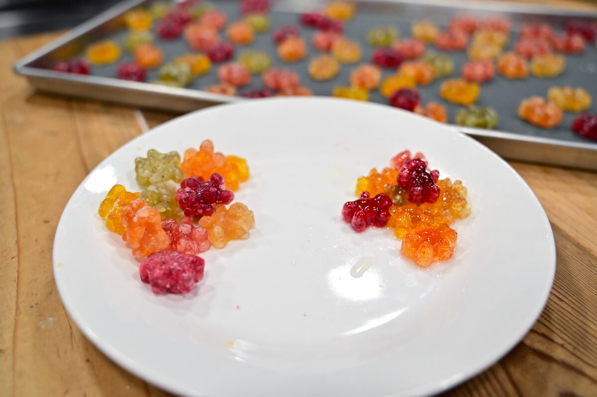 How to Freeze Dry Candy: Easy Step-by-Step Guide — Homesteading Family