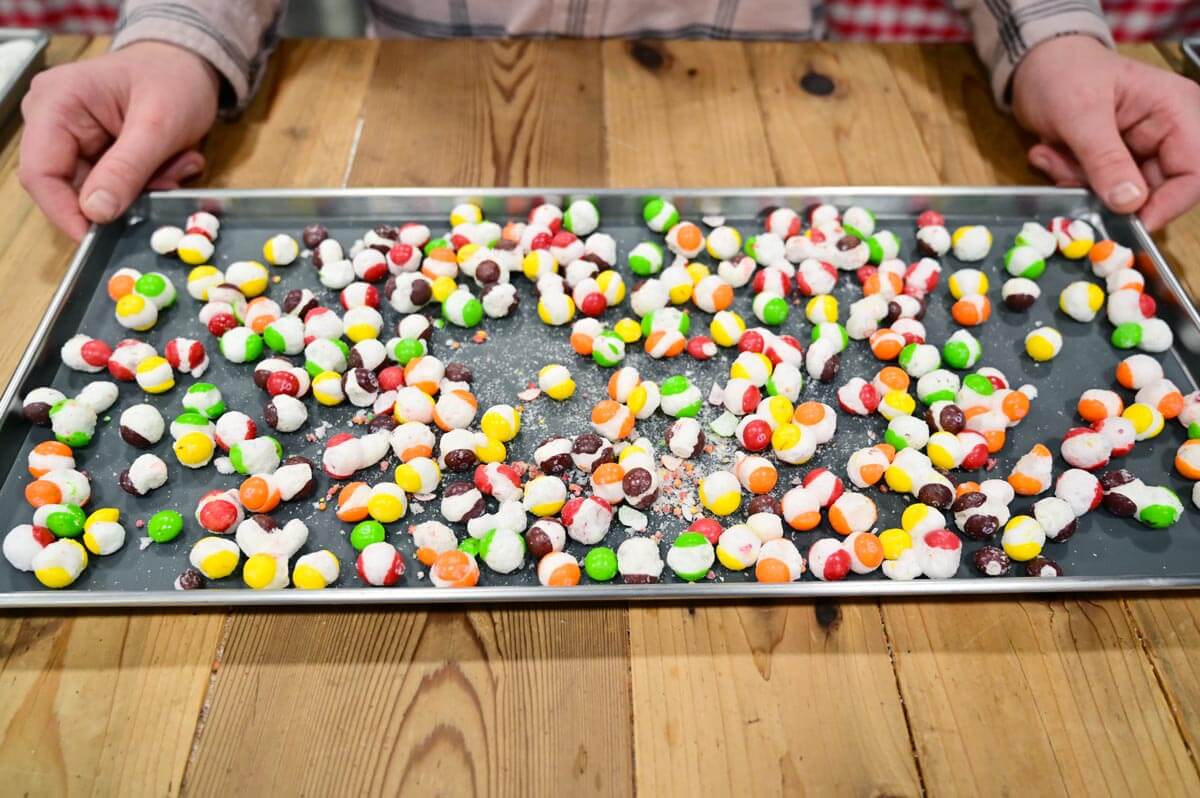 How to Freeze Dry Candy: Easy Step-by-Step Guide — Homesteading Family