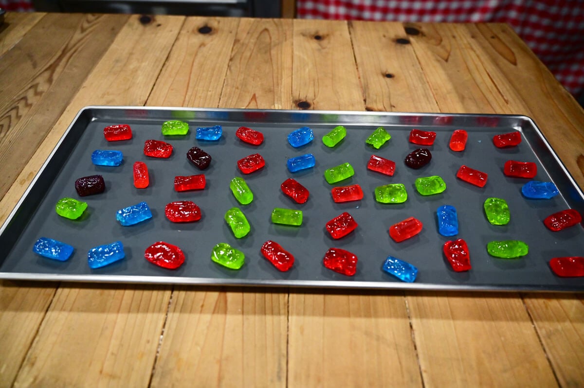 How to Freeze Dry Candy: Easy Step-by-Step Guide — Homesteading Family