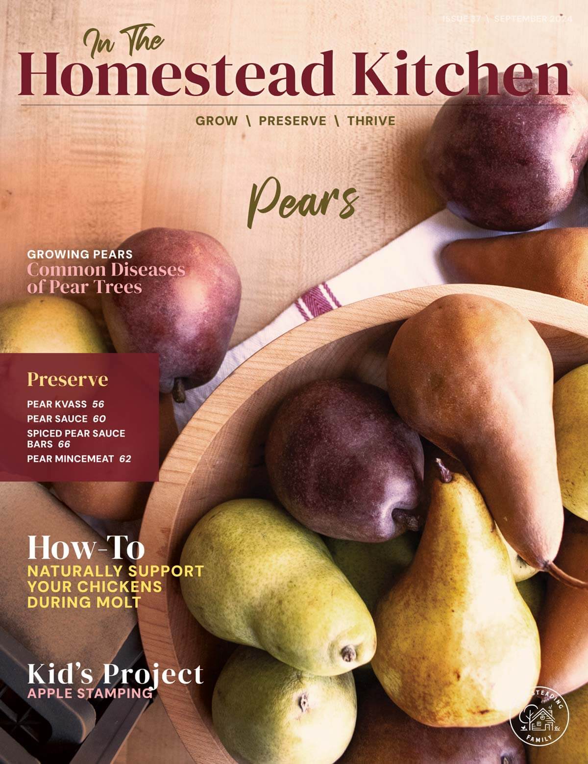 Fun Apple Stamping: Create Colorful Art at Home — Homesteading Family