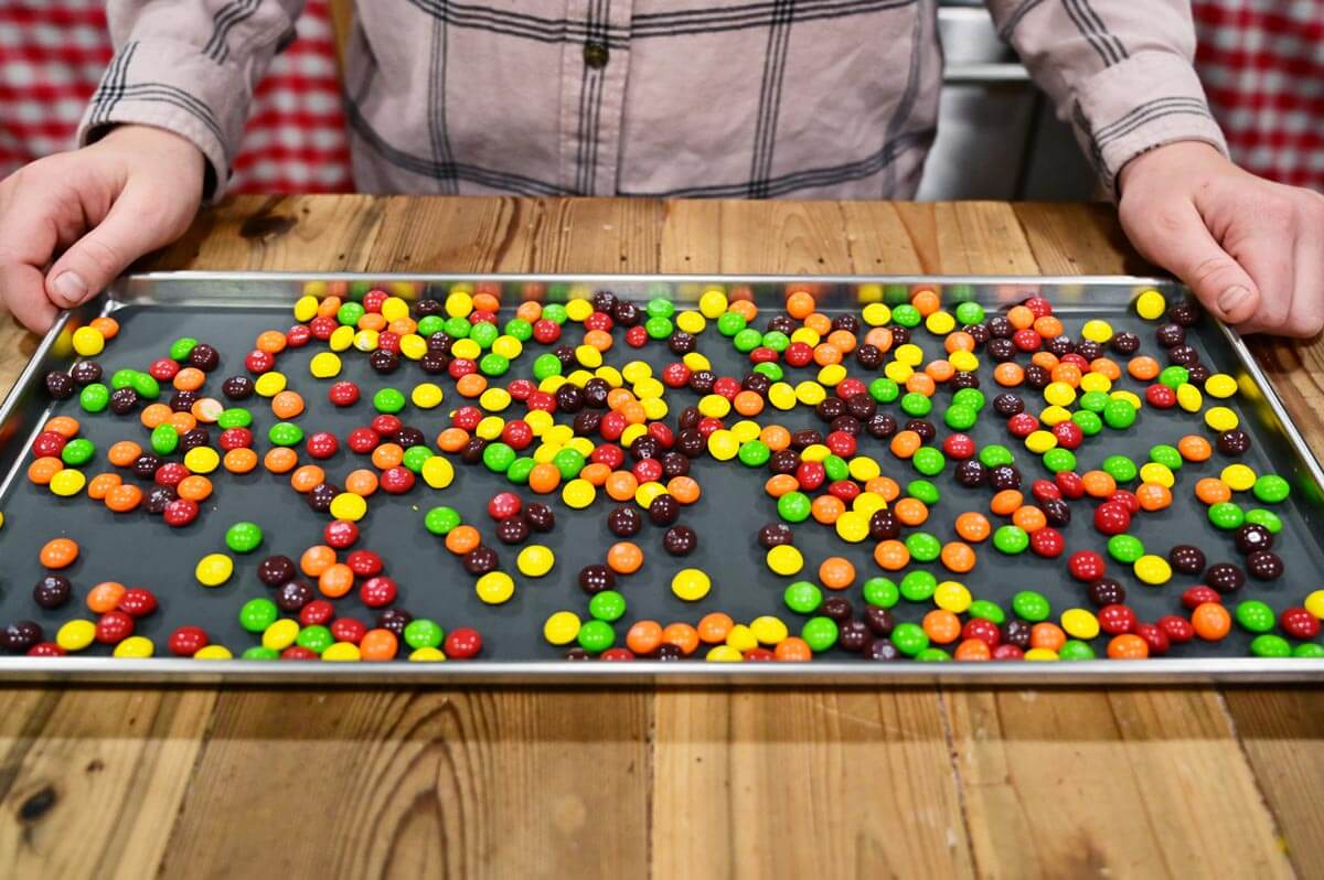 How to Freeze Dry Candy: Easy Step-by-Step Guide — Homesteading Family