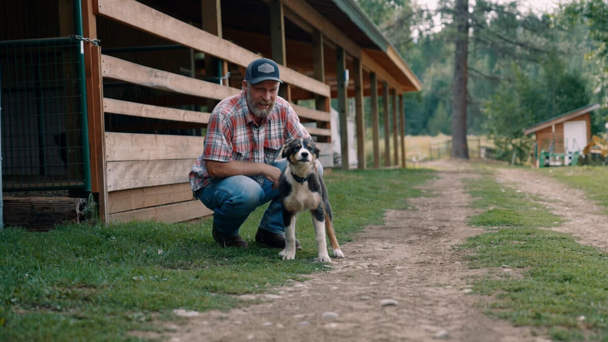 How to Choose a Great Homestead Dog — Homesteading Family