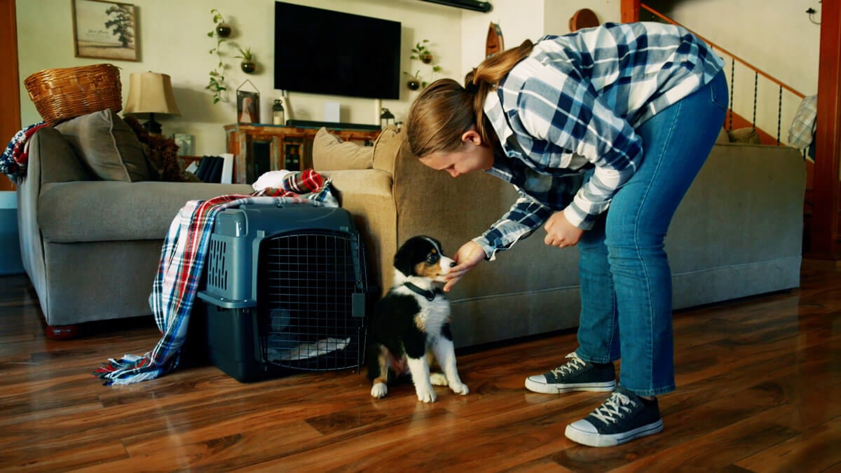 How to Choose a Great Homestead Dog — Homesteading Family