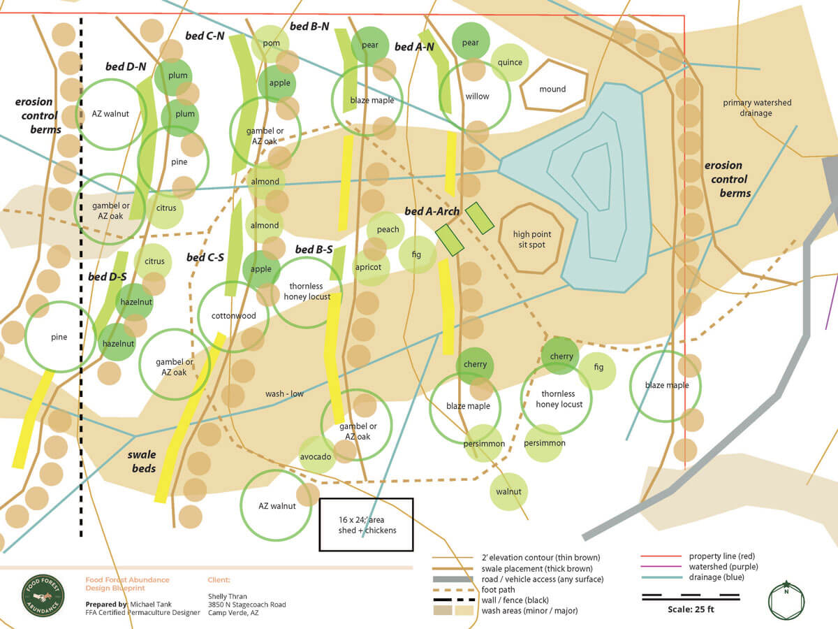 Designing a Food Forest: Everything You Need to Know to Get Started ...