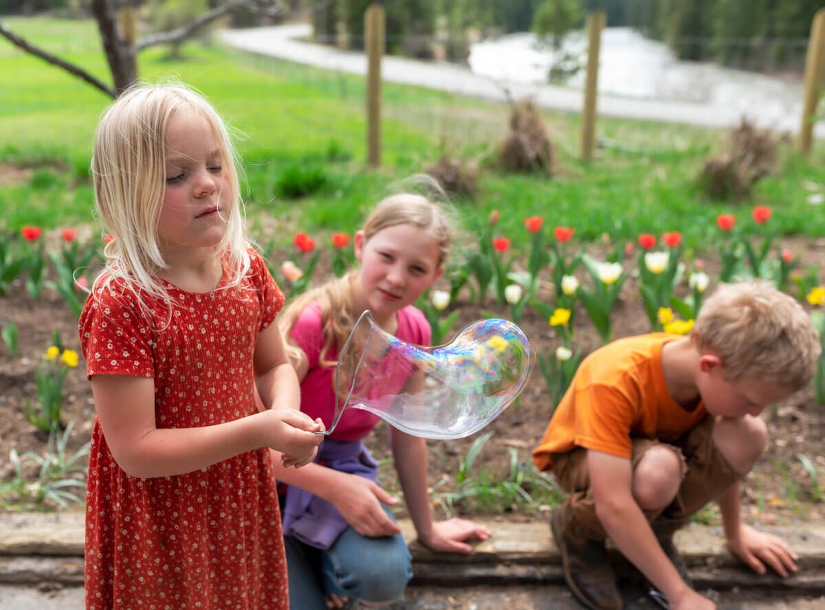 DIY Bubble Solution: Easy Homemade Fun for All Ages — Homesteading Family