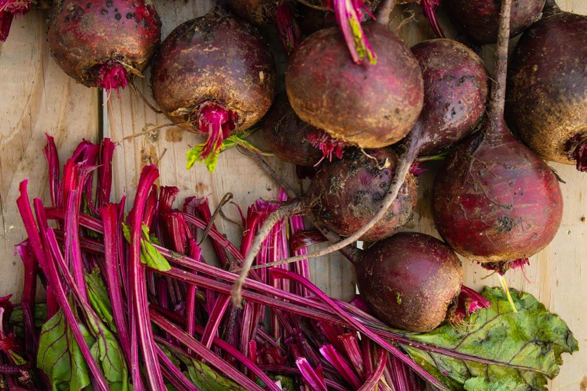 Canned Beets: A Homestead Pantry Staple — Homesteading Family