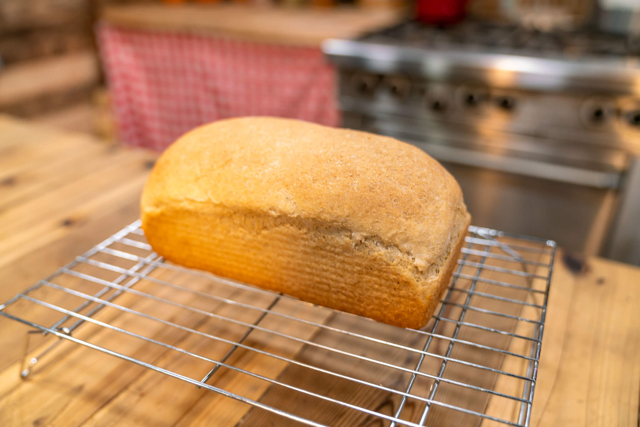 Basic Homemade Sandwich Bread Recipe — Homesteading Family