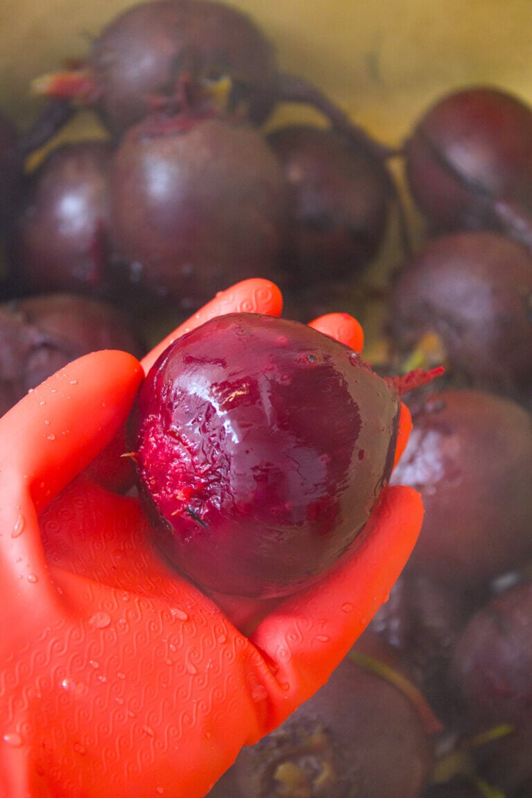 Canned Beets: A Homestead Pantry Staple — Homesteading Family