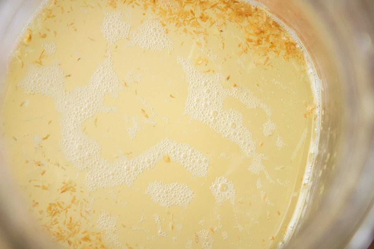 Ginger Bug: Make Your Own Probiotic Fizzy Drinks — Homesteading Family