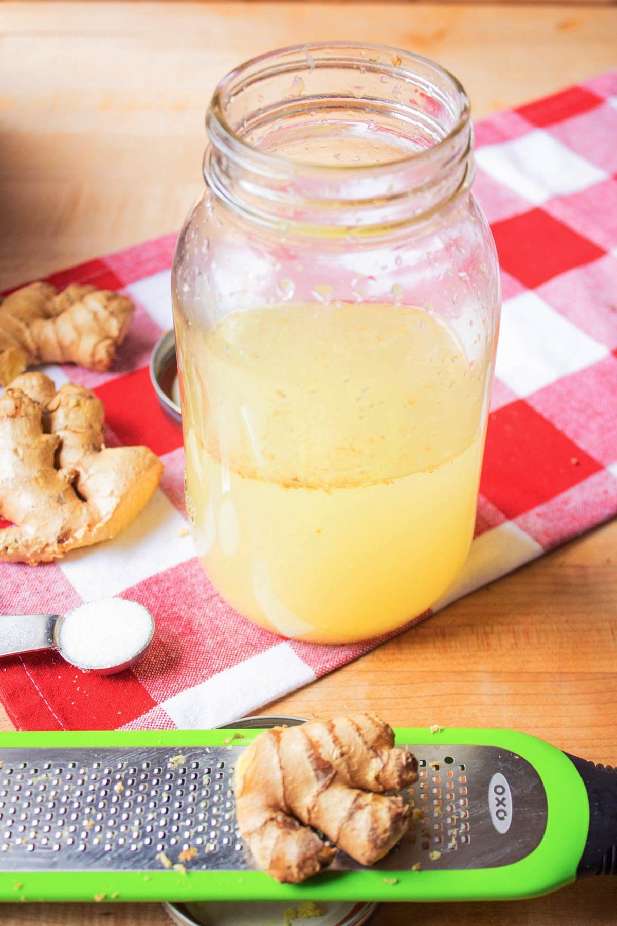 Ginger Bug: Make Your Own Probiotic Fizzy Drinks — Homesteading Family