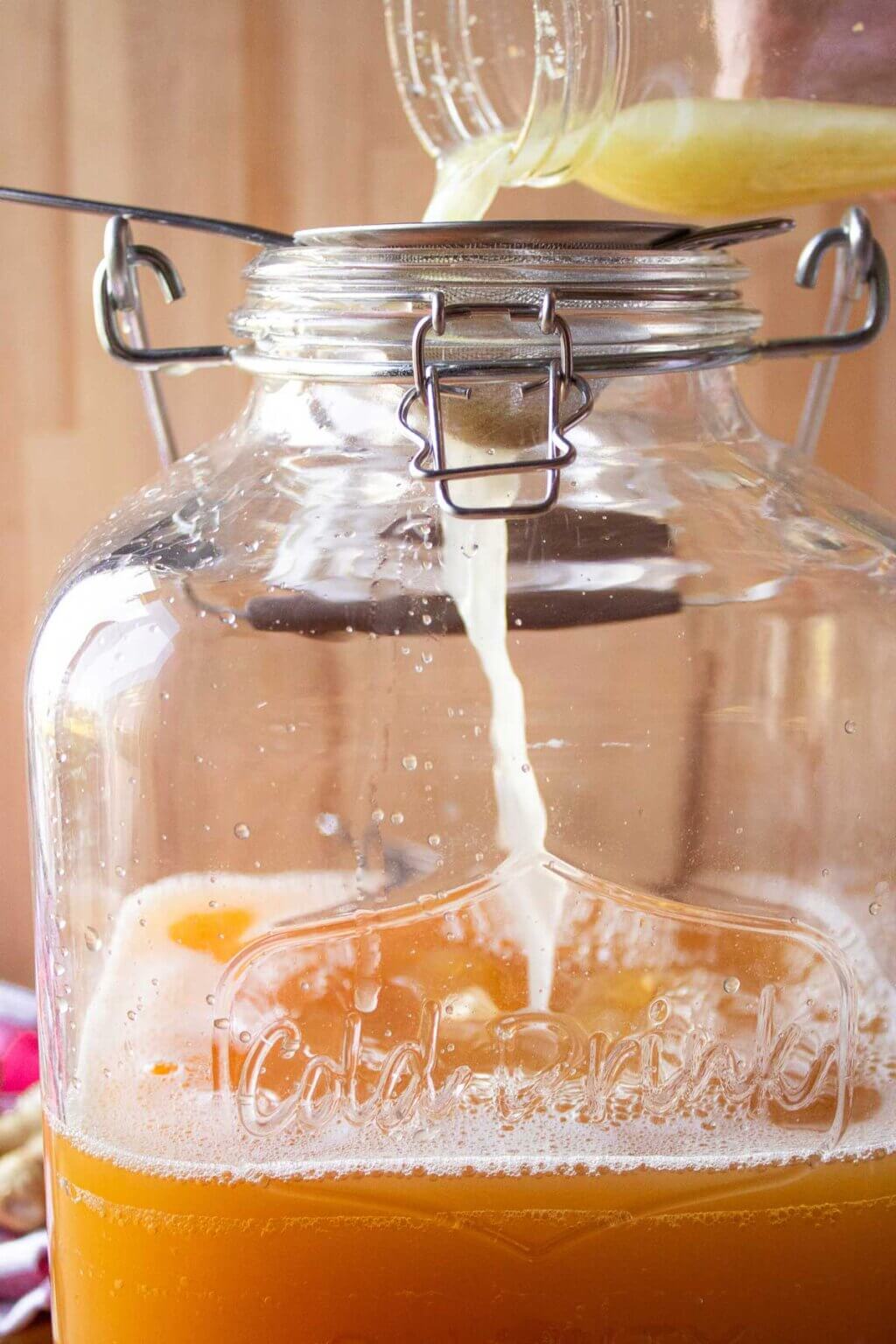 Ginger Bug: Make Your Own Probiotic Fizzy Drinks — Homesteading Family