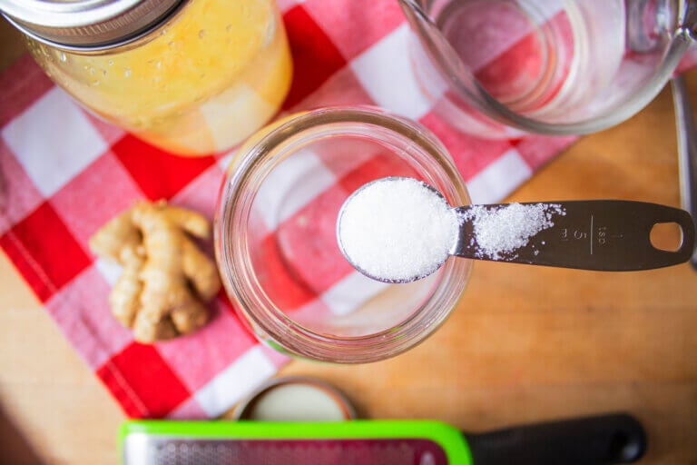 Ginger Bug: Make Your Own Probiotic Fizzy Drinks — Homesteading Family