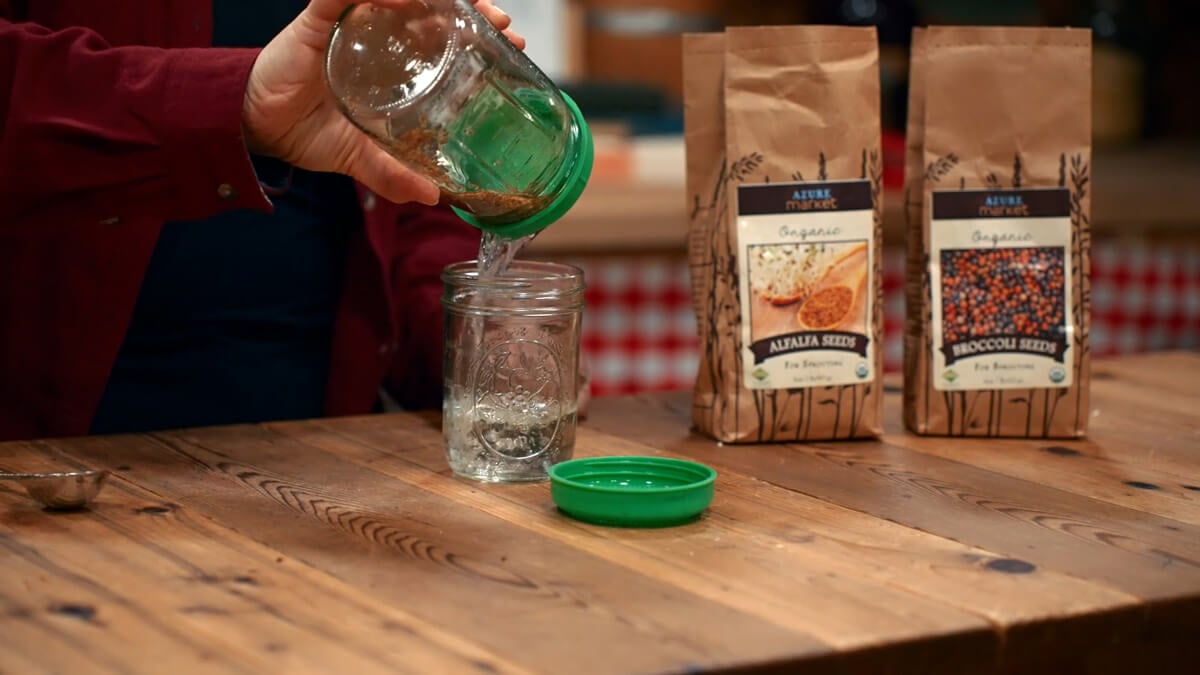 How to Grow Sprouts at Home (Easy Step-by-Step Directions ...