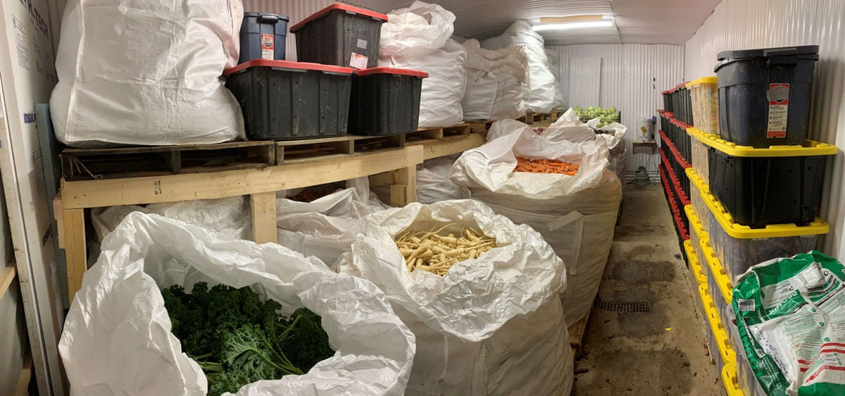 How to Store Vegetables WITHOUT a Root Cellar — Homesteading Family