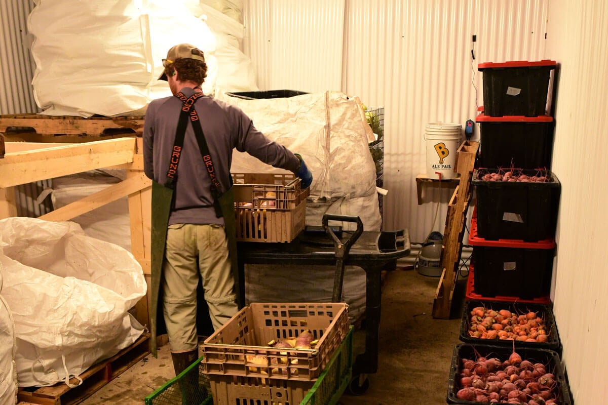 How to Store Vegetables WITHOUT a Root Cellar — Homesteading Family