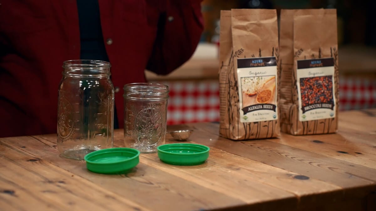 How to Grow Sprouts at Home (Easy Step-by-Step Directions ...