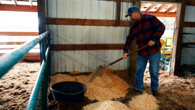 Barn Designs: Must-Haves for Proper Barn Management — Homesteading Family