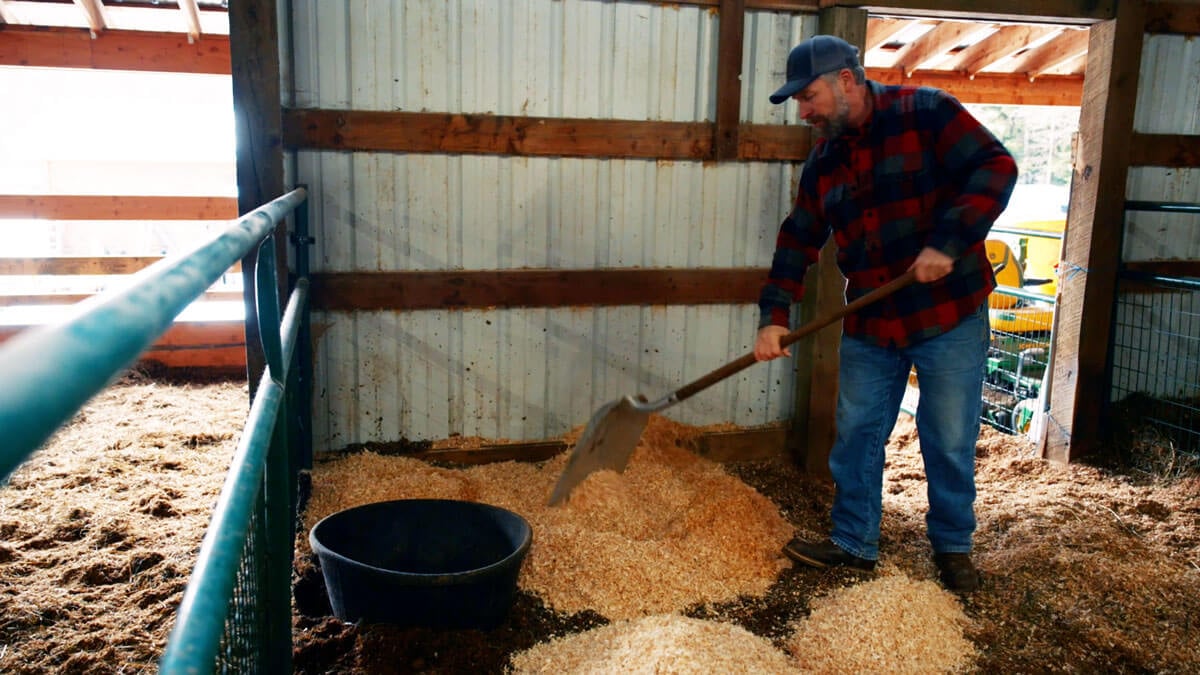 Barn Designs: Must-Haves for Proper Barn Management — Homesteading Family