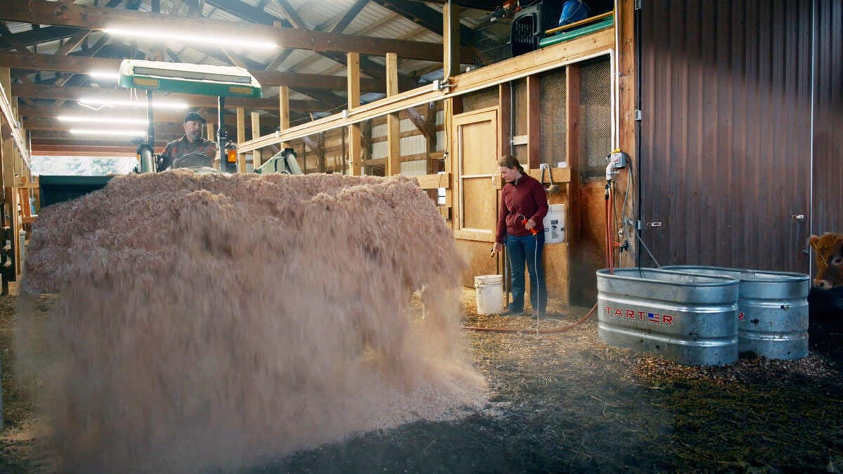Barn Designs: Must-Haves for Proper Barn Management — Homesteading Family