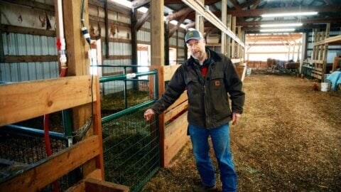 Barn Designs: Must-Haves for Proper Barn Management — Homesteading Family