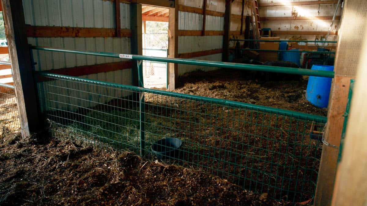 Barn Designs: Must-Haves for Proper Barn Management — Homesteading Family