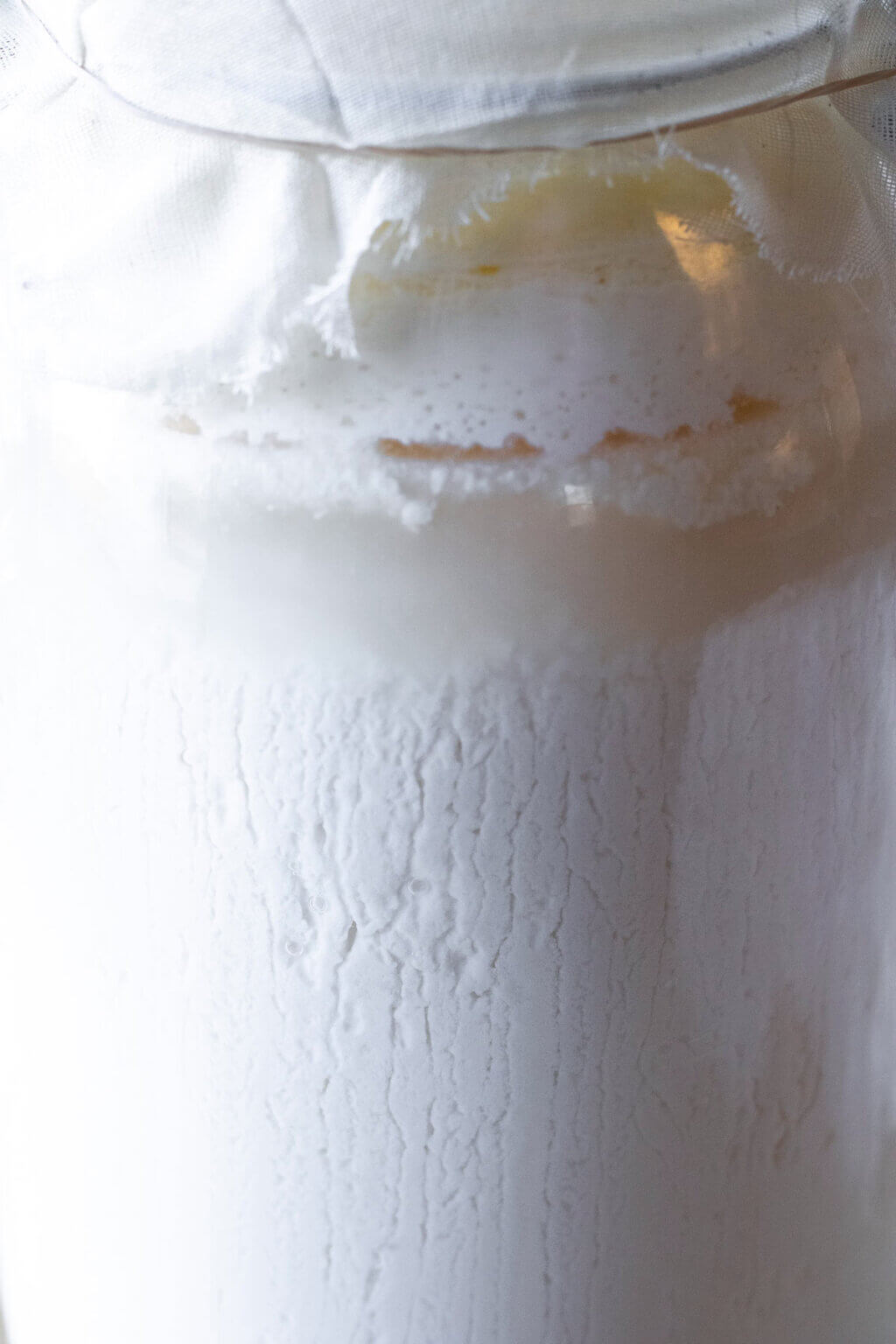 Raw Milk Cottage Cheese (Easy Step-by-Step Tutorial) — Homesteading Family