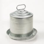 The Best Chicken Waterer for the Homestead — Homesteading Family