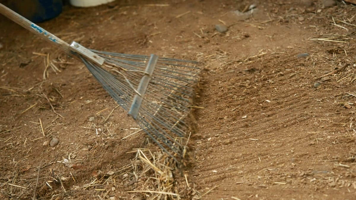 Essential Barn Tools for the Homestead — Homesteading Family