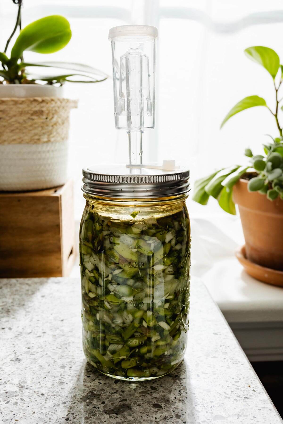 Fermented Asparagus Relish Recipe — Homesteading Family