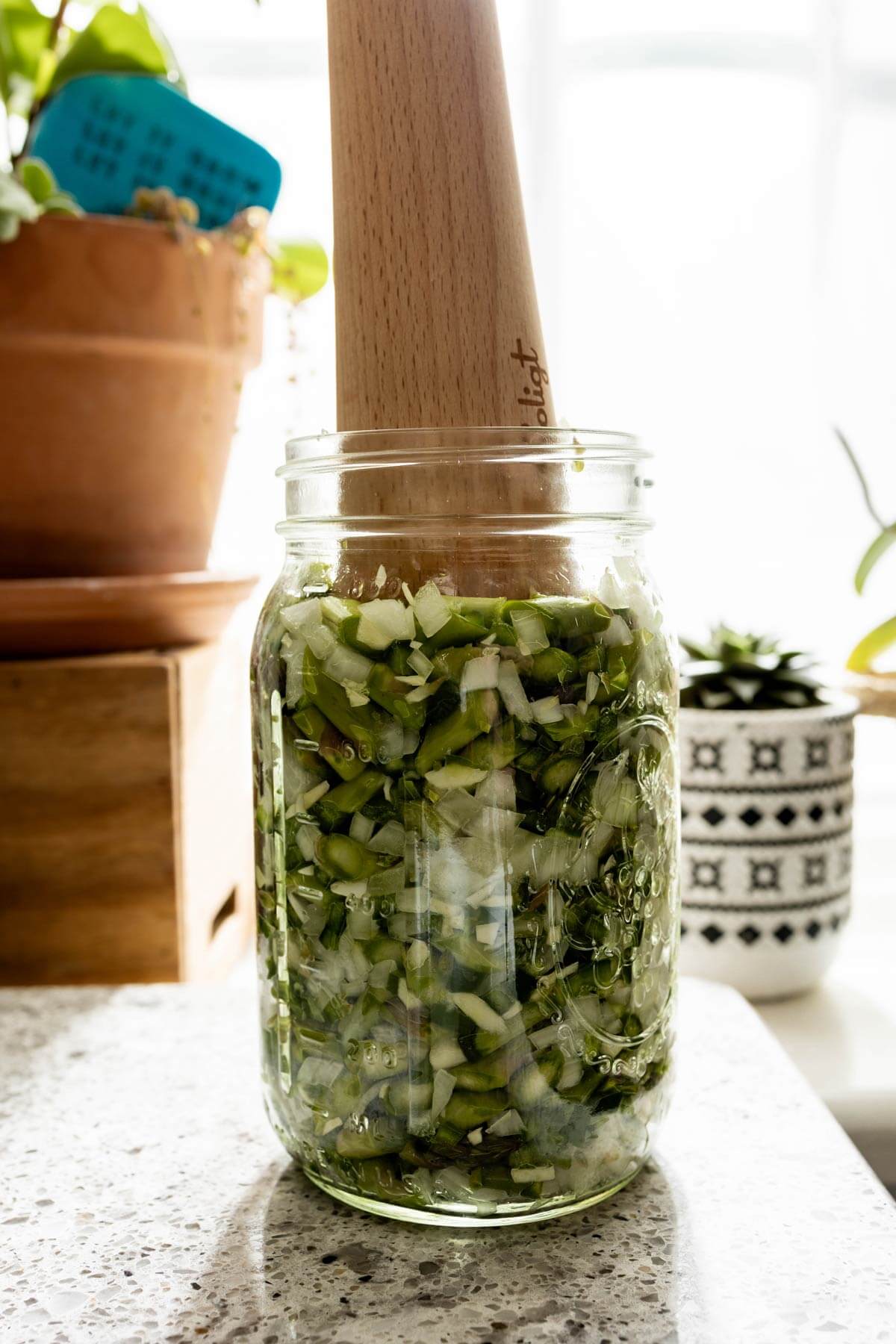 Fermented Asparagus Relish Recipe — Homesteading Family