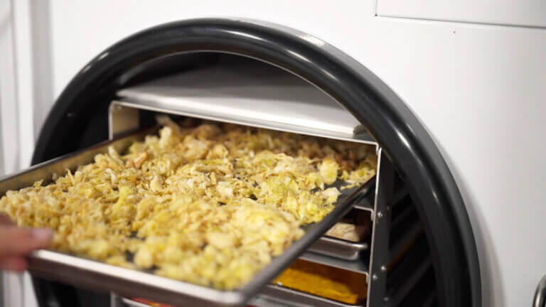 Homemade Probiotics (In Capsule Form) — Homesteading Family