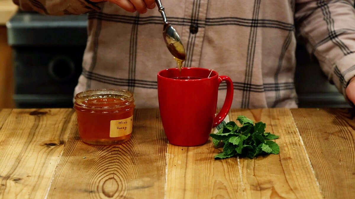 Steeping Tea for Medicinal Purposes — Homesteading Family